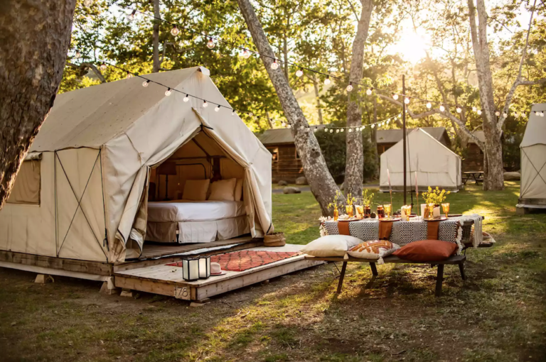 18 Best Fall Activities For Your Family - MunaMommy